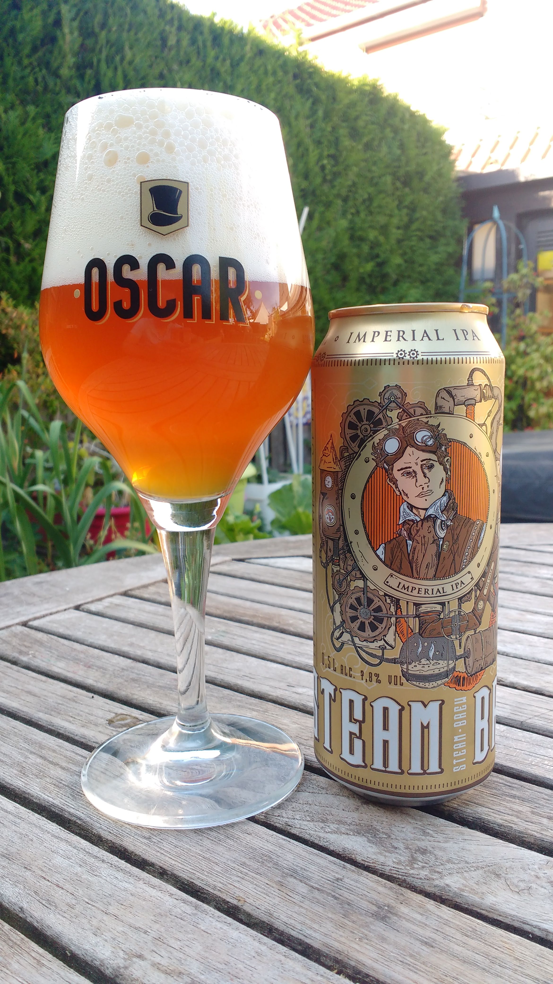 Steam Brew impérial ipa - ironmalt